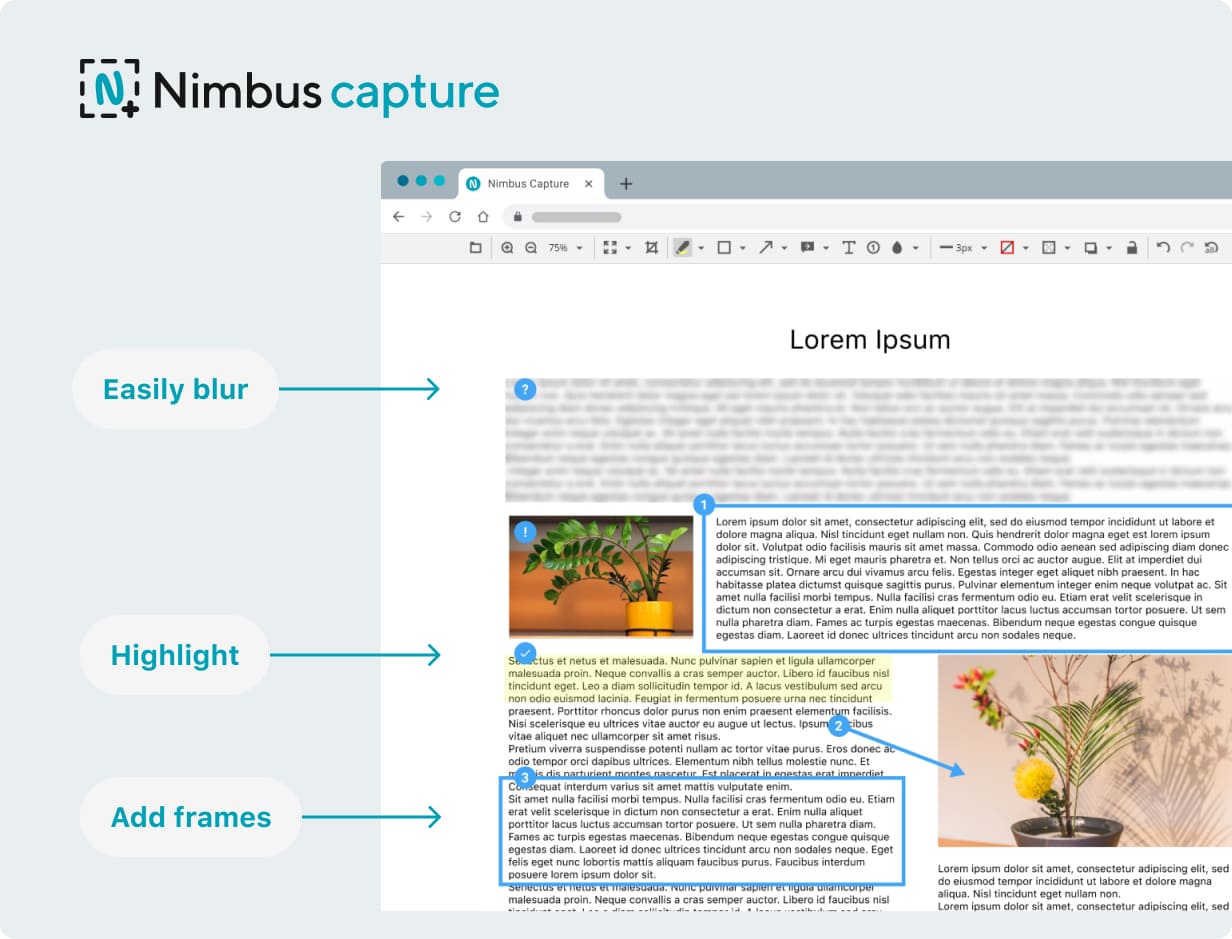 How to Take a Screenshot of an Entire Webpage - Nimbus Capture - FuseBase